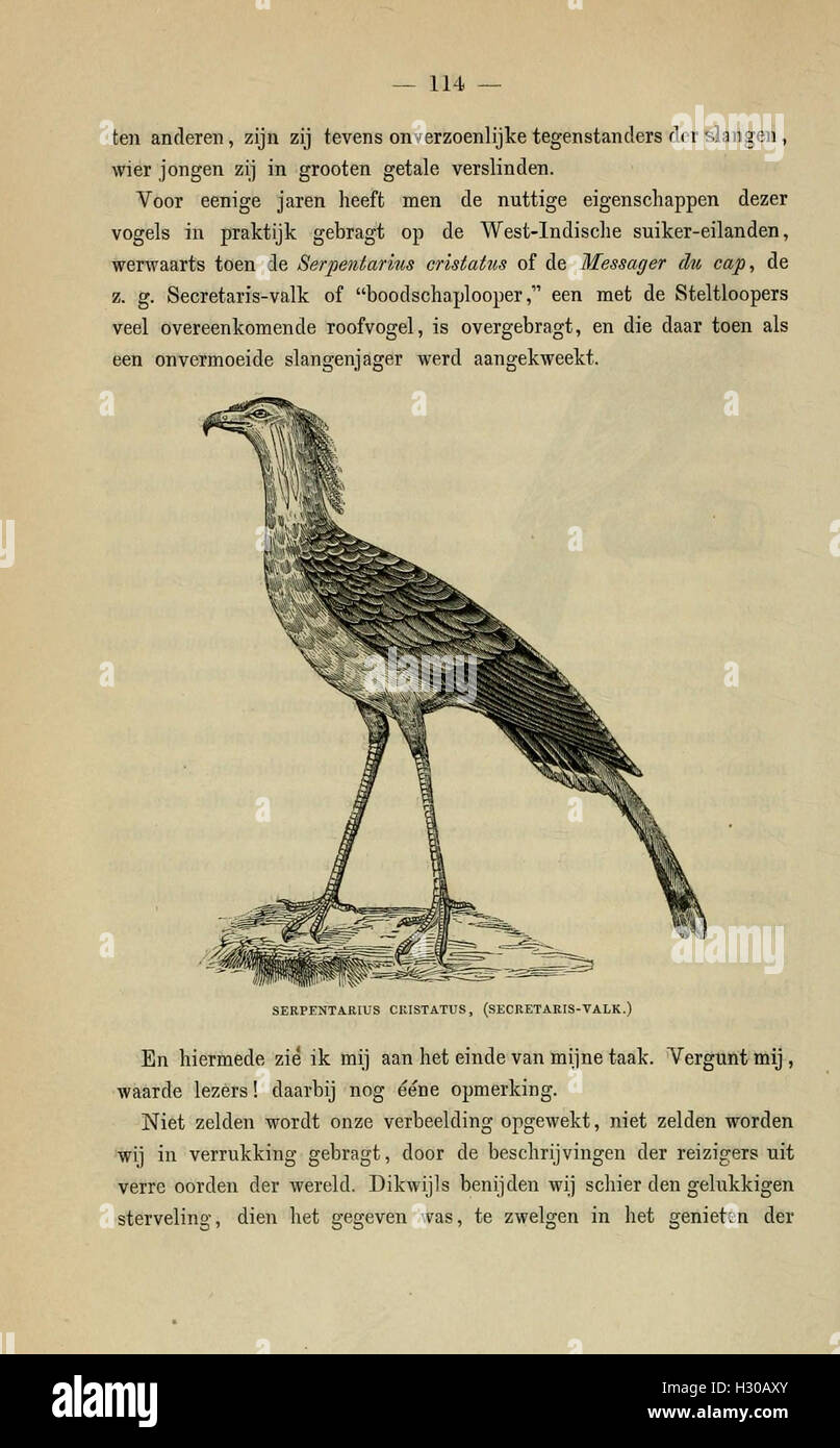 This album provides a visual catalog of various natural scenes and ...