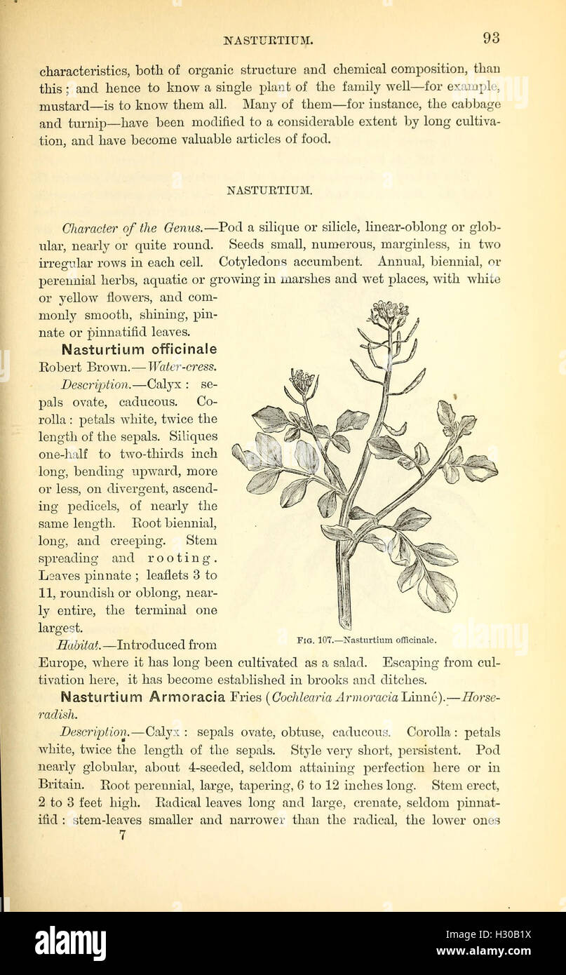 Manual on medical botany hi-res stock photography and images - Alamy