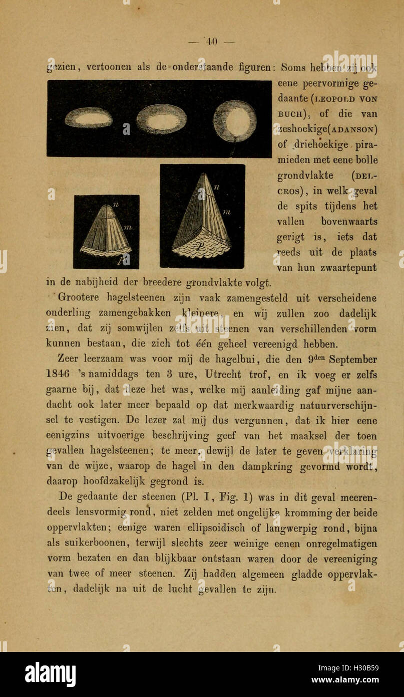 This album features detailed illustrations and descriptions of natural ...