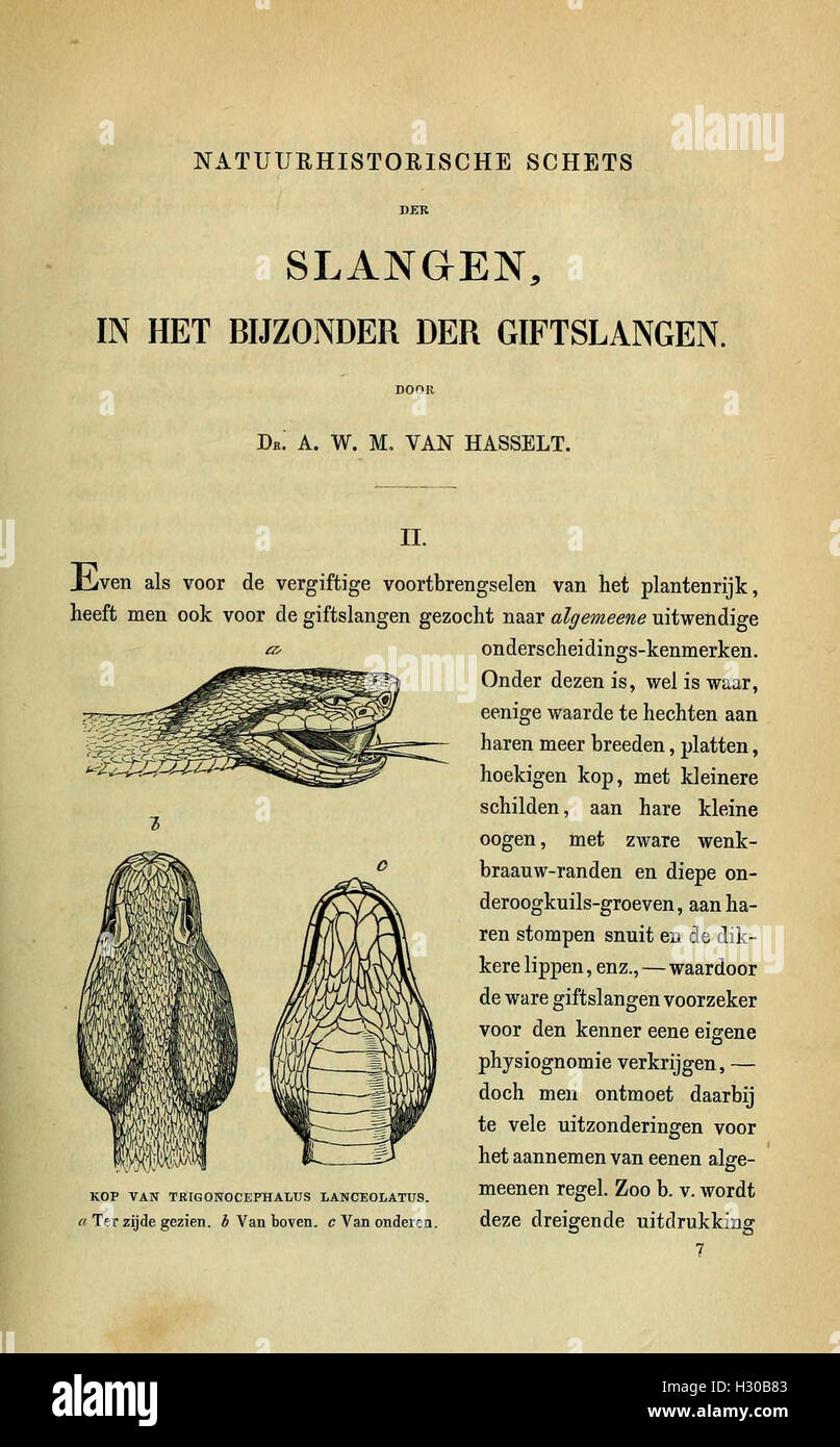 Album der Natuur is a scientific publication that includes a collection ...