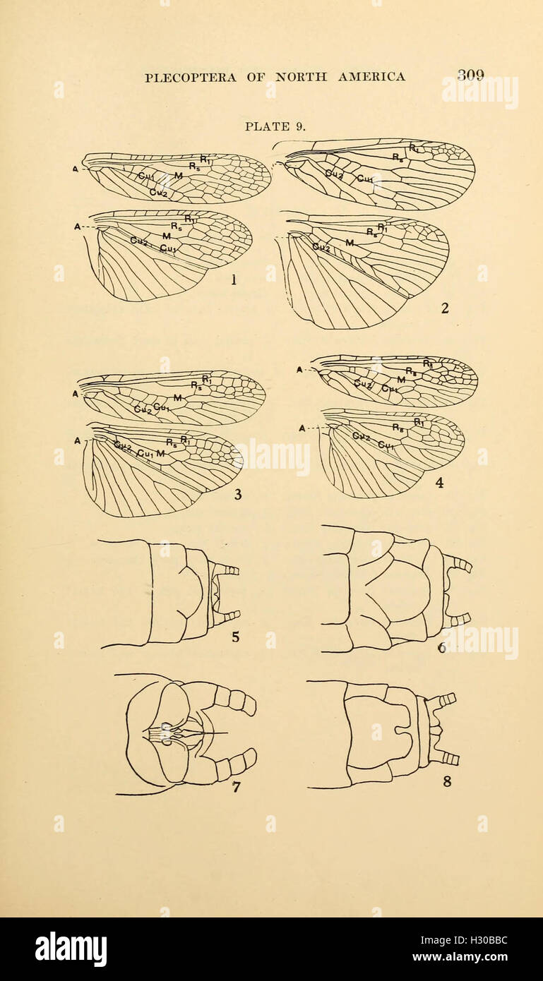 This monograph provides a comprehensive study of Plecoptera, or ...