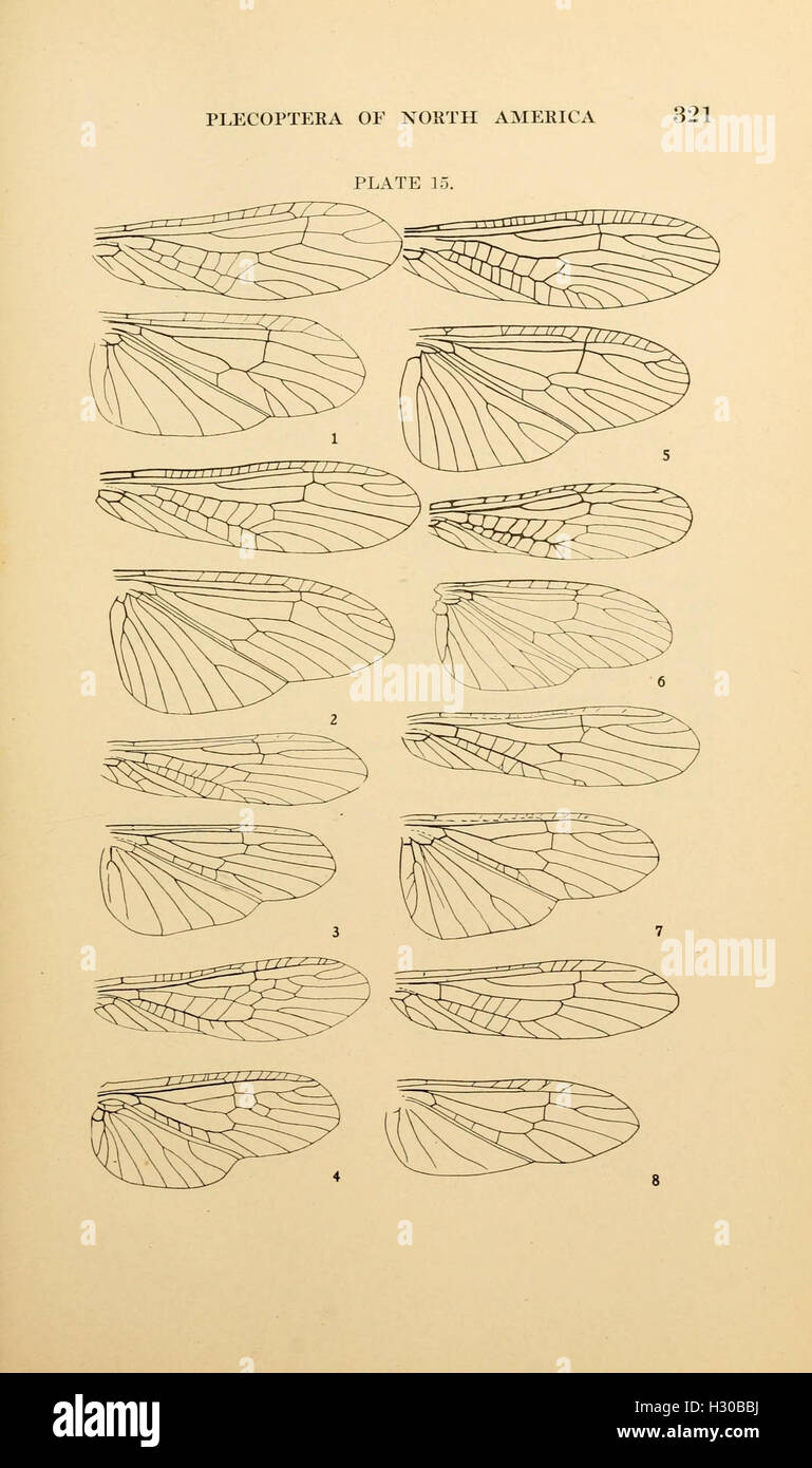 A monograph of the Plecoptera or stoneflies of America north of Mexico ...