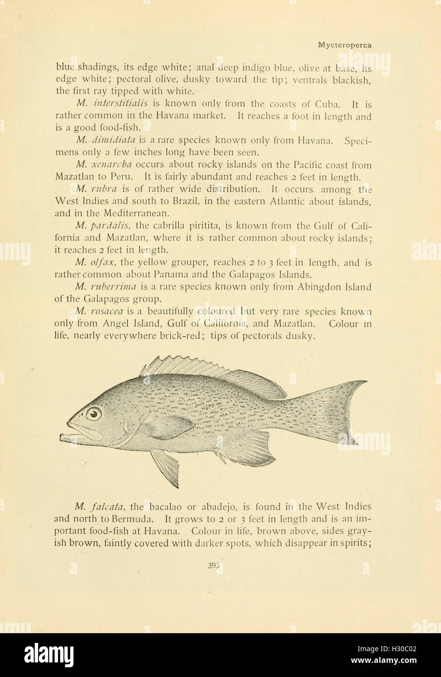 This work focuses on the identification, biology, and habitat of food ...