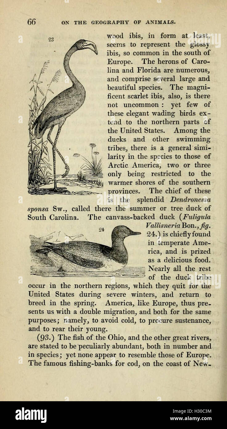 This work explores the geographic distribution of animals and their ...