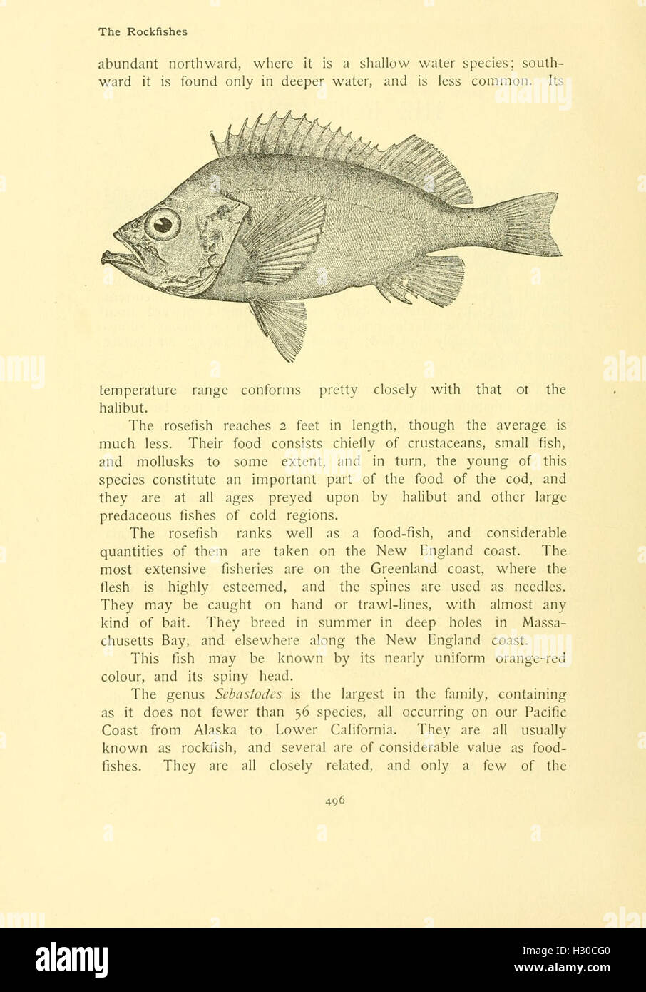 This book discusses the different species of food and game fishes ...