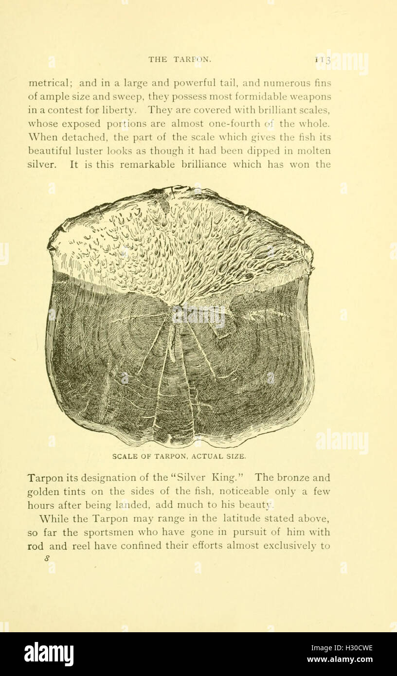 This book offers a detailed examination of American game fish species ...
