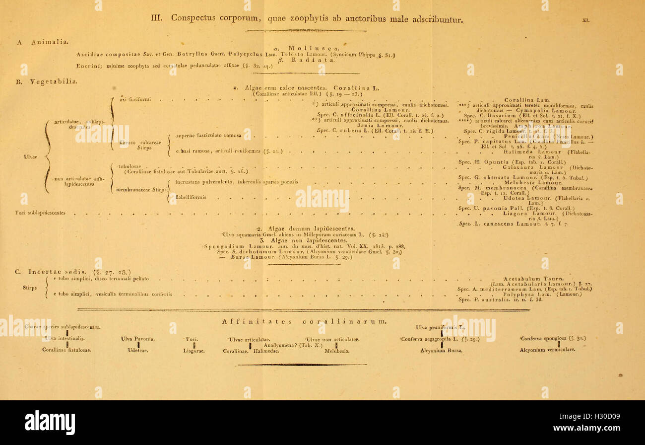 Beobachtungen auf naturhistorischen Reisen (Table XI) BHL143 Stock ...