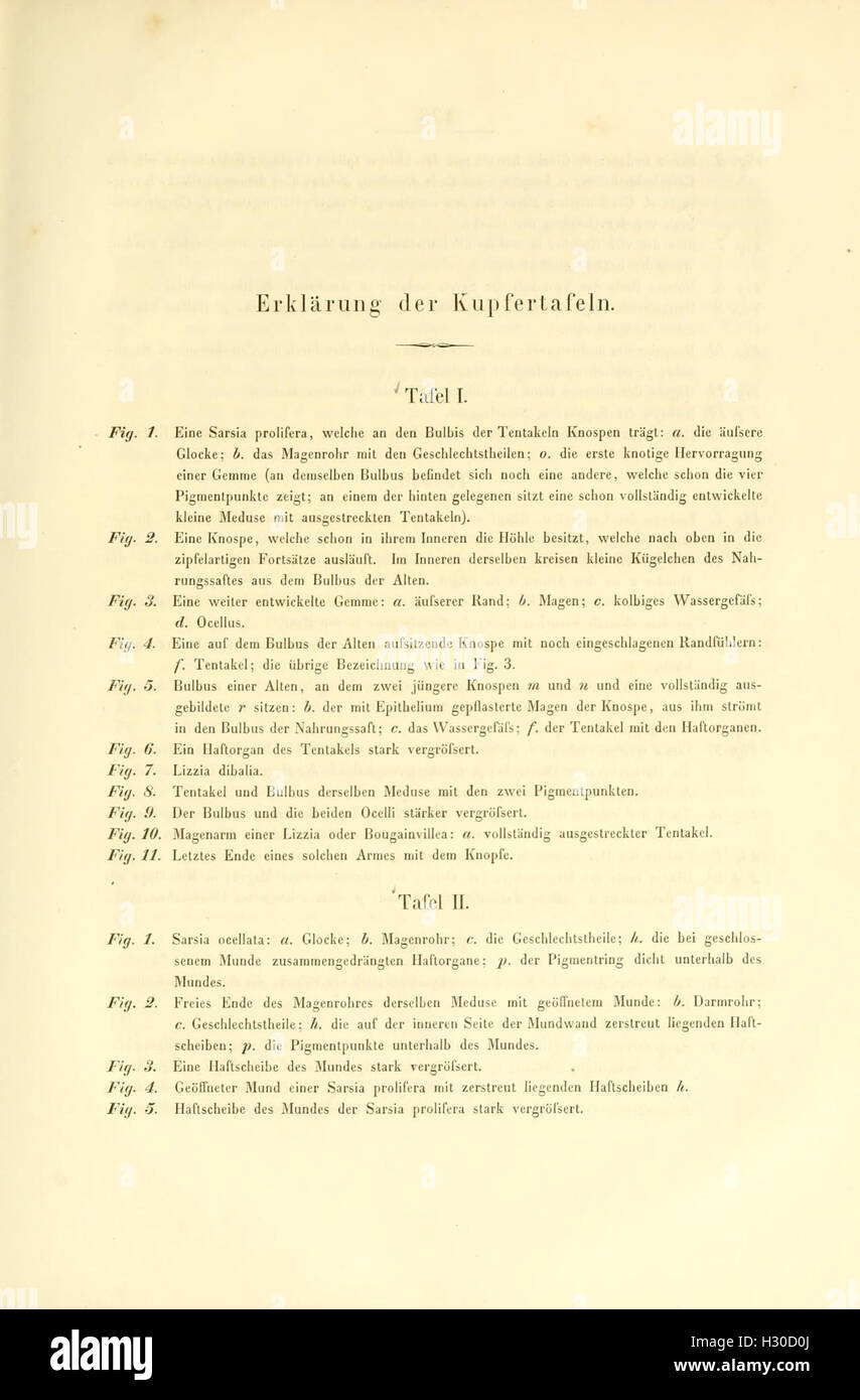 A scientific observation of the anatomy and development of various ...