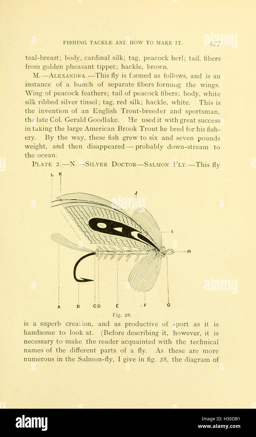 An exploration of game fish species in America, including detailed ...