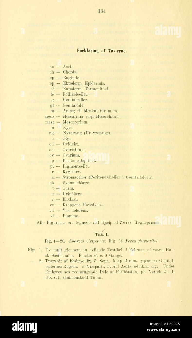 This work focuses on the development of reproductive organs in bony ...