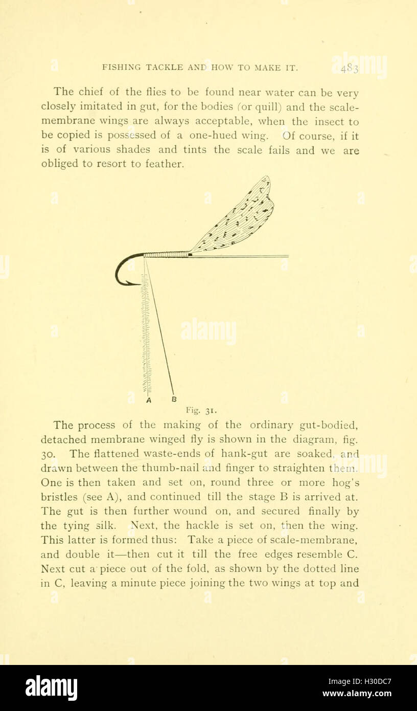 This text discusses various species of American game fish, focusing on ...