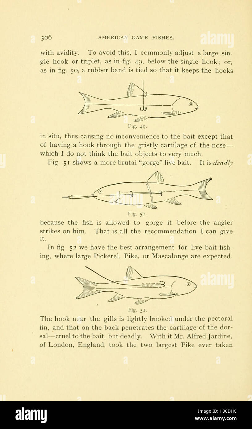 An illustrated guide to various species of American game fishes ...