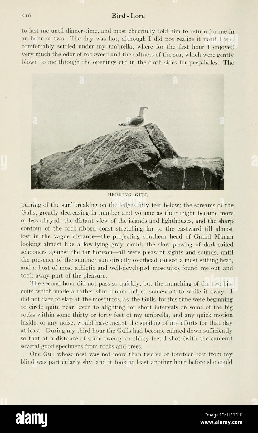 This publication focuses on the study of bird behavior, species ...