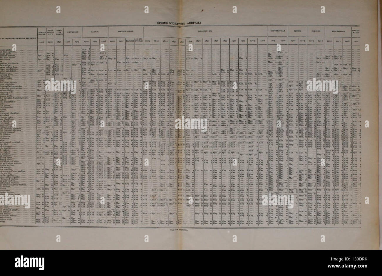 'Birds of New York' features a table detailing the spring migration ...