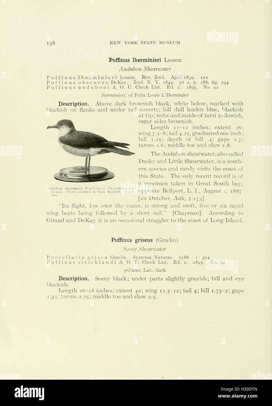 'Birds of New York' covers the bird species native to New York ...