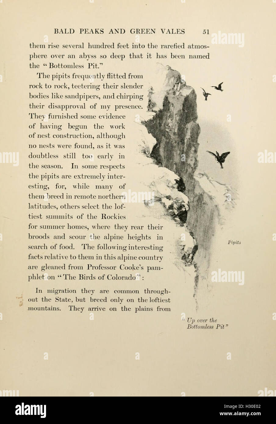 'Birds of the Rockies' provides an in-depth look at bird species native ...