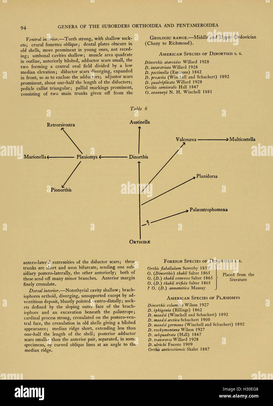 This study explores the brachiopod genera within the suborders ...
