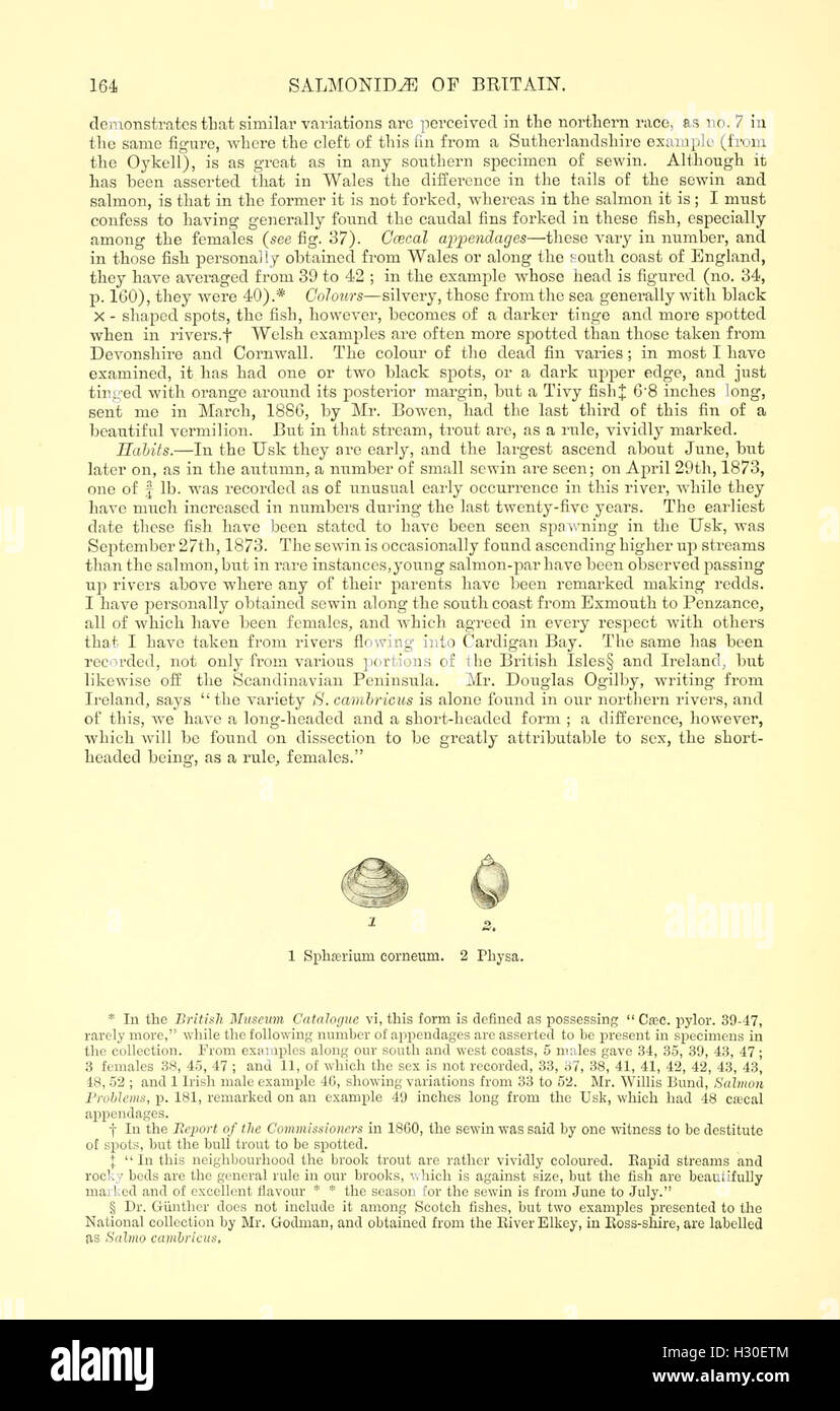 An examination of the Salmonidae family of fish in Britain and Ireland ...