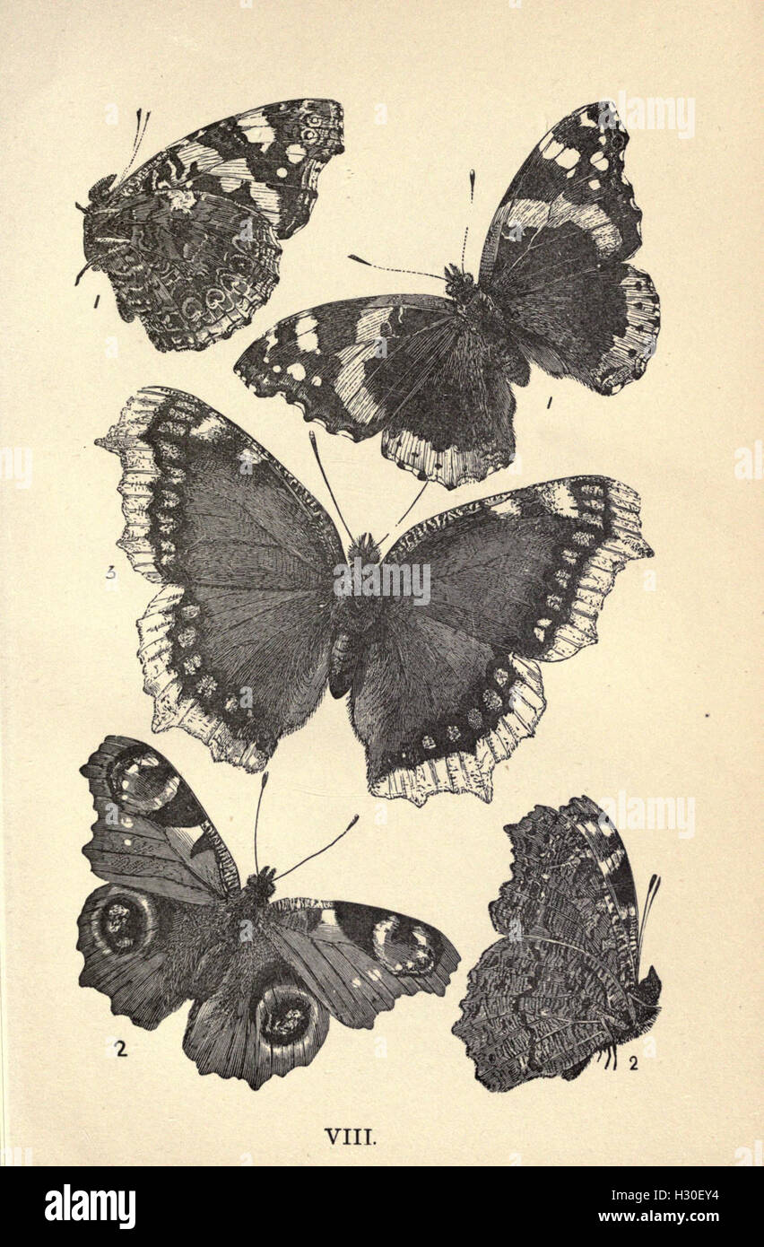 This work provides detailed figures and descriptions of all native ...