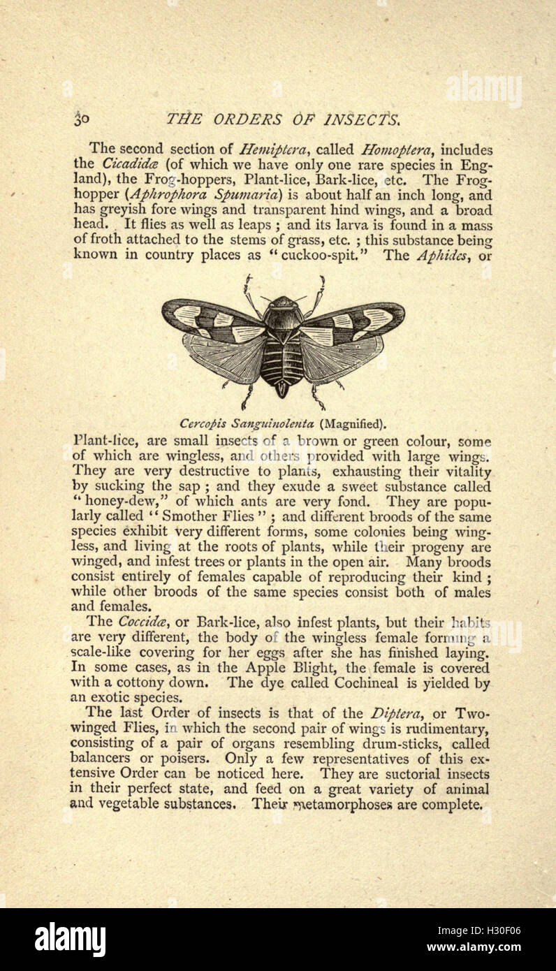 This work provides a comprehensive guide to the butterflies, moths, and ...
