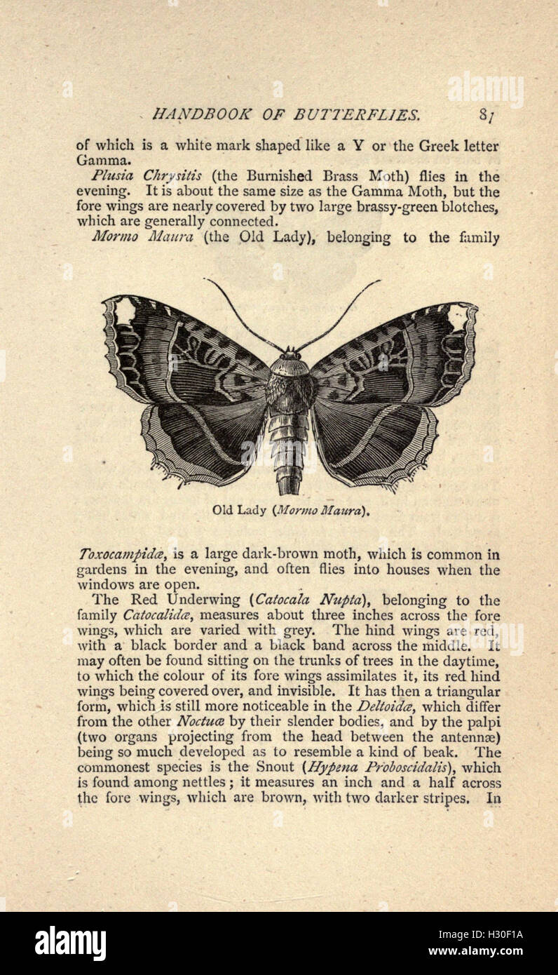 Page 87 of 'British Butterflies, Moths and Beetles' presenting ...