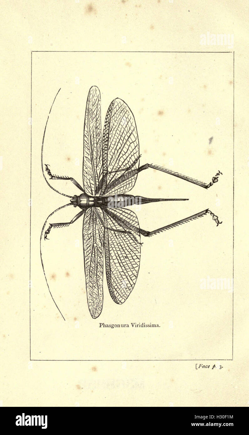 This work provides a comprehensive guide to British butterflies, moths ...