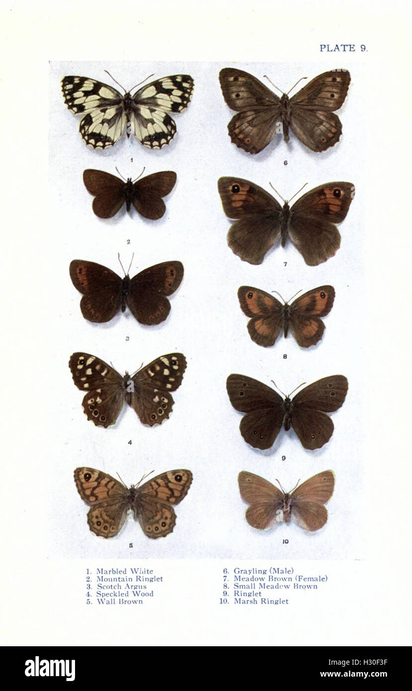 Conservation work uk Cut Out Stock Images & Pictures - Alamy