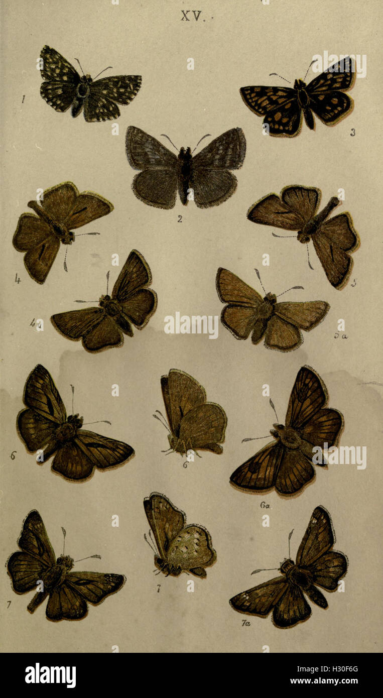 This work provides a comprehensive guide to British butterfly species ...