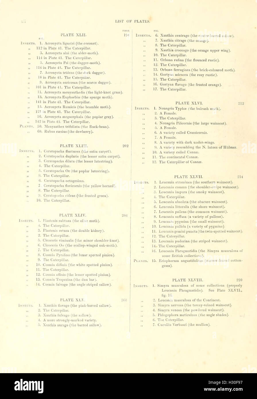 This work presents the life cycles and transformations of various ...