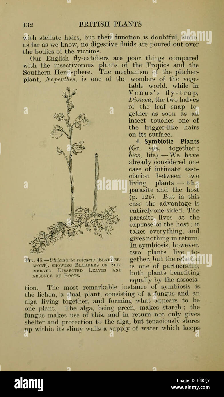 This text provides a catalog of British plants, focusing on their ...