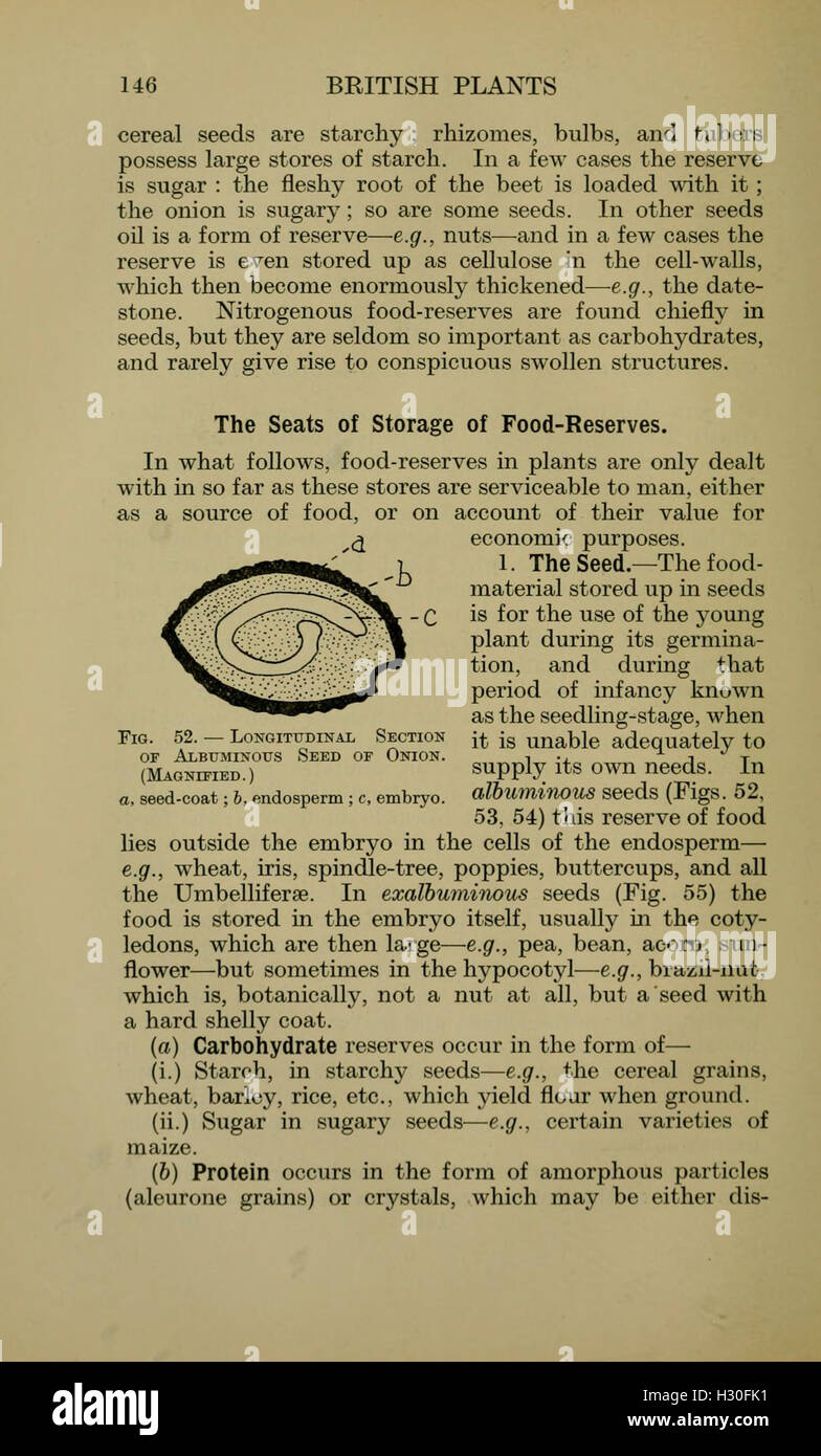 This page presents British plant species, highlighting their ...