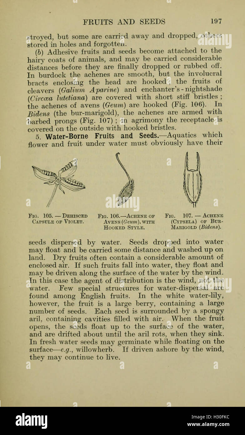 This work on British plants provides an extensive guide to the flora of ...