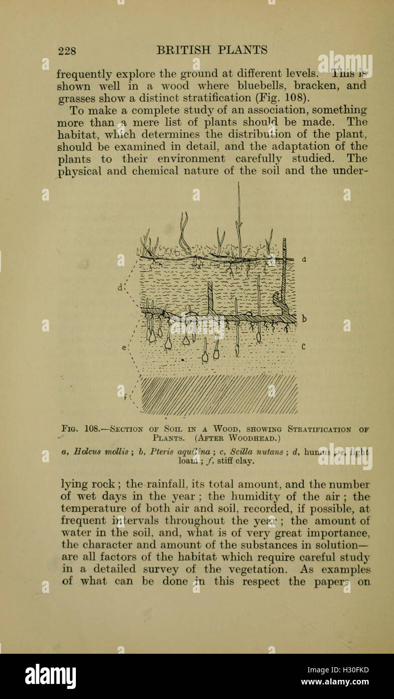 This work presents an overview of British plant species, including ...