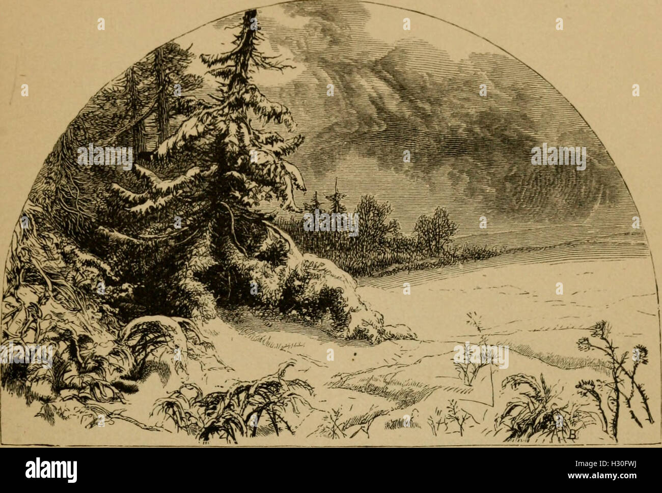 Bryant. Poems from the works of William Cullen Bryant (1884) (1478173 ...