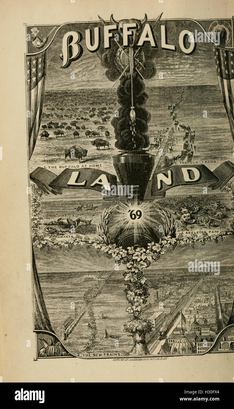 'Buffalo Land' explores the history, ecology, and wildlife of the ...