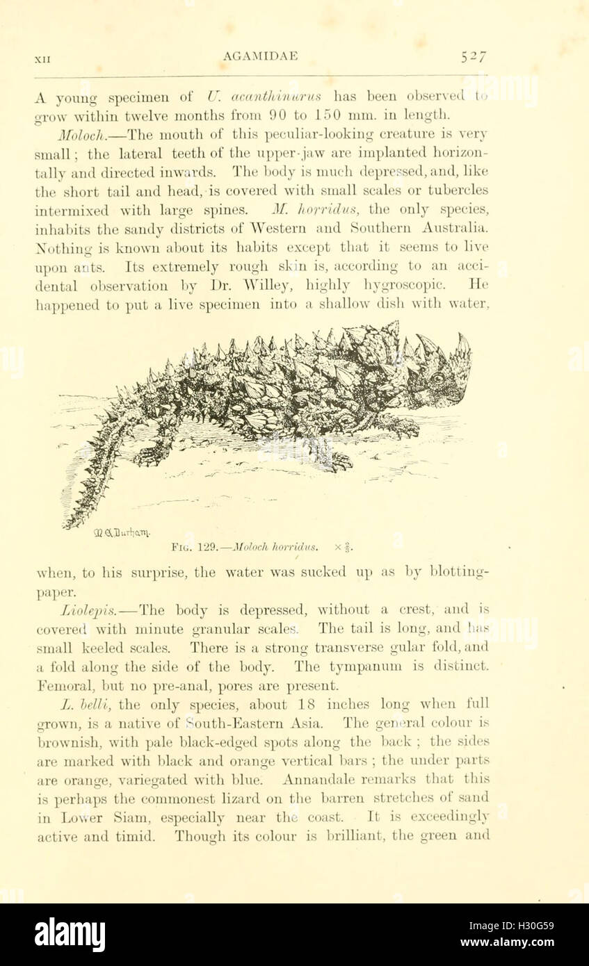 A detailed exploration of amphibians and reptiles, including their ...