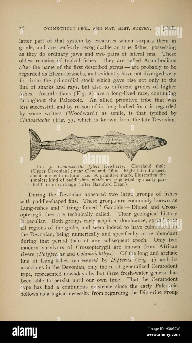 A report from the State Geological and Natural History Survey of ...