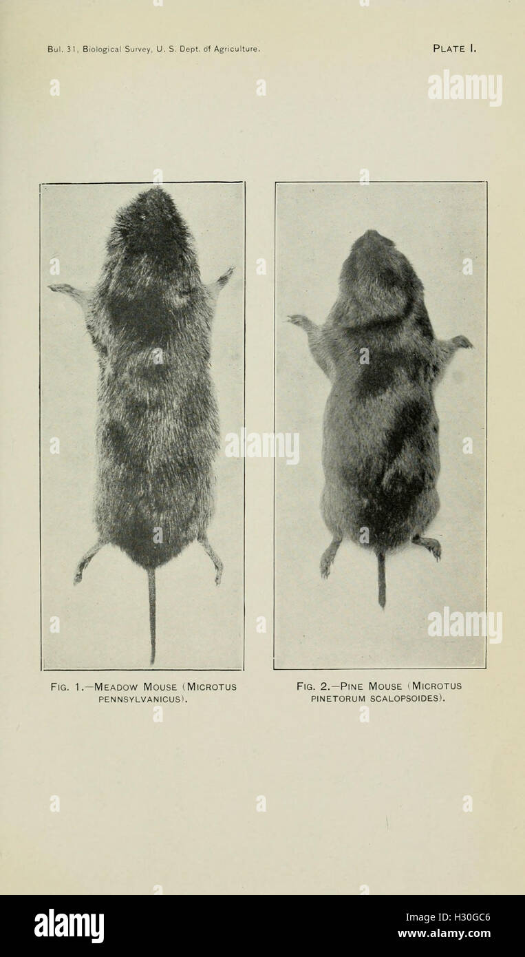 A general scientific bulletin featuring research on various natural ...