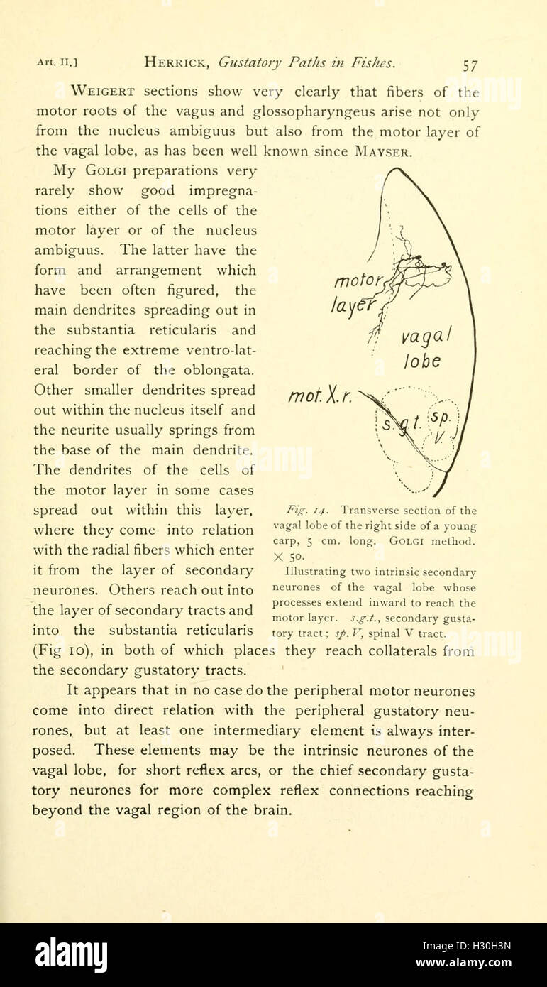 Denison map hi-res stock photography and images - Alamy