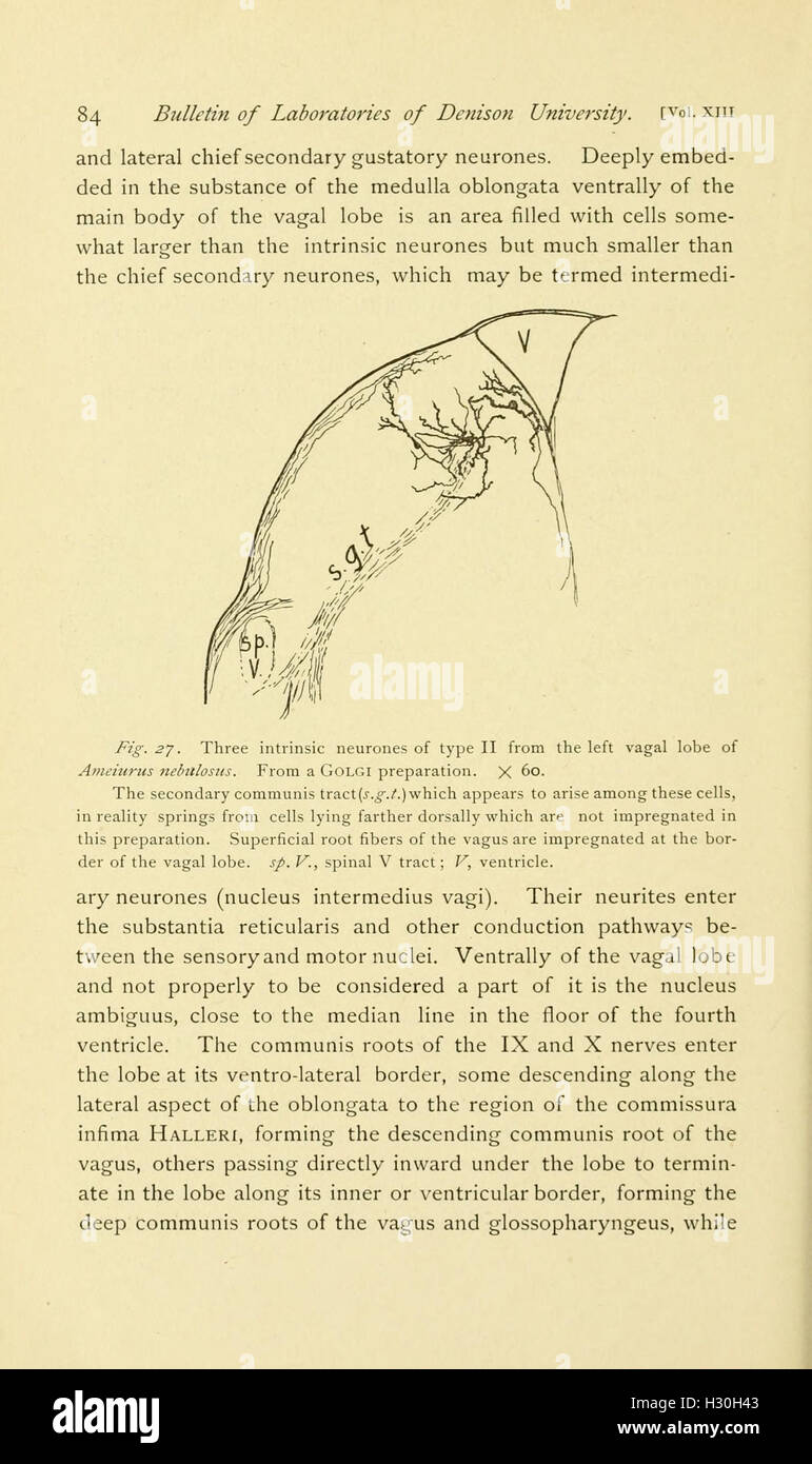 Denison map hi-res stock photography and images - Alamy