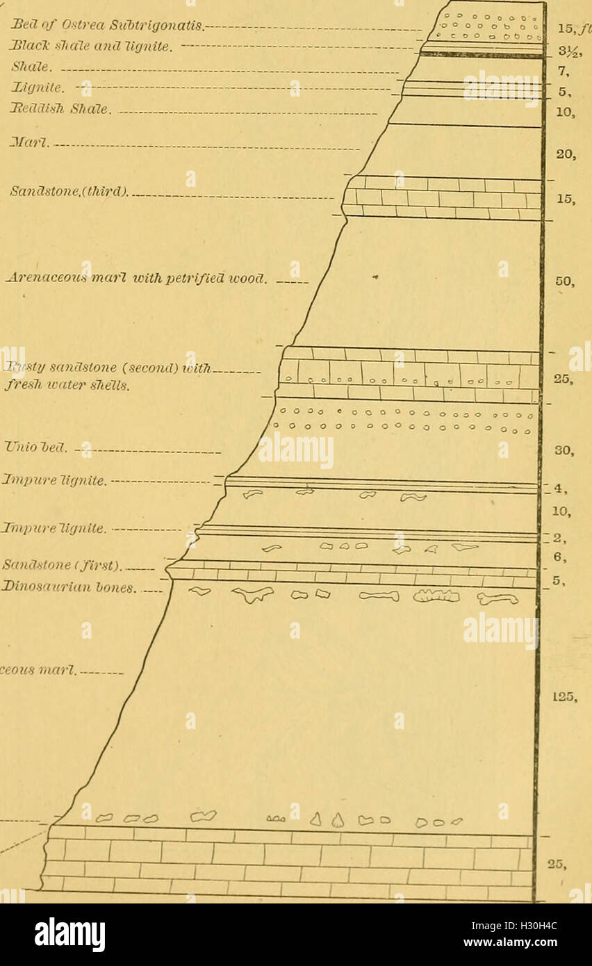 This bulletin from the United States Geological and Geographical Survey ...