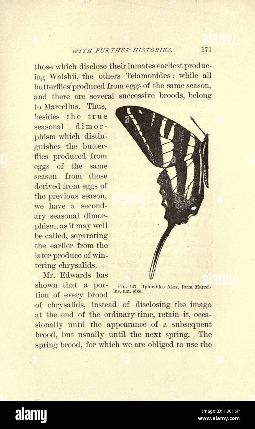 This work discusses the biology and diversity of butterflies, including their species, habitats ...