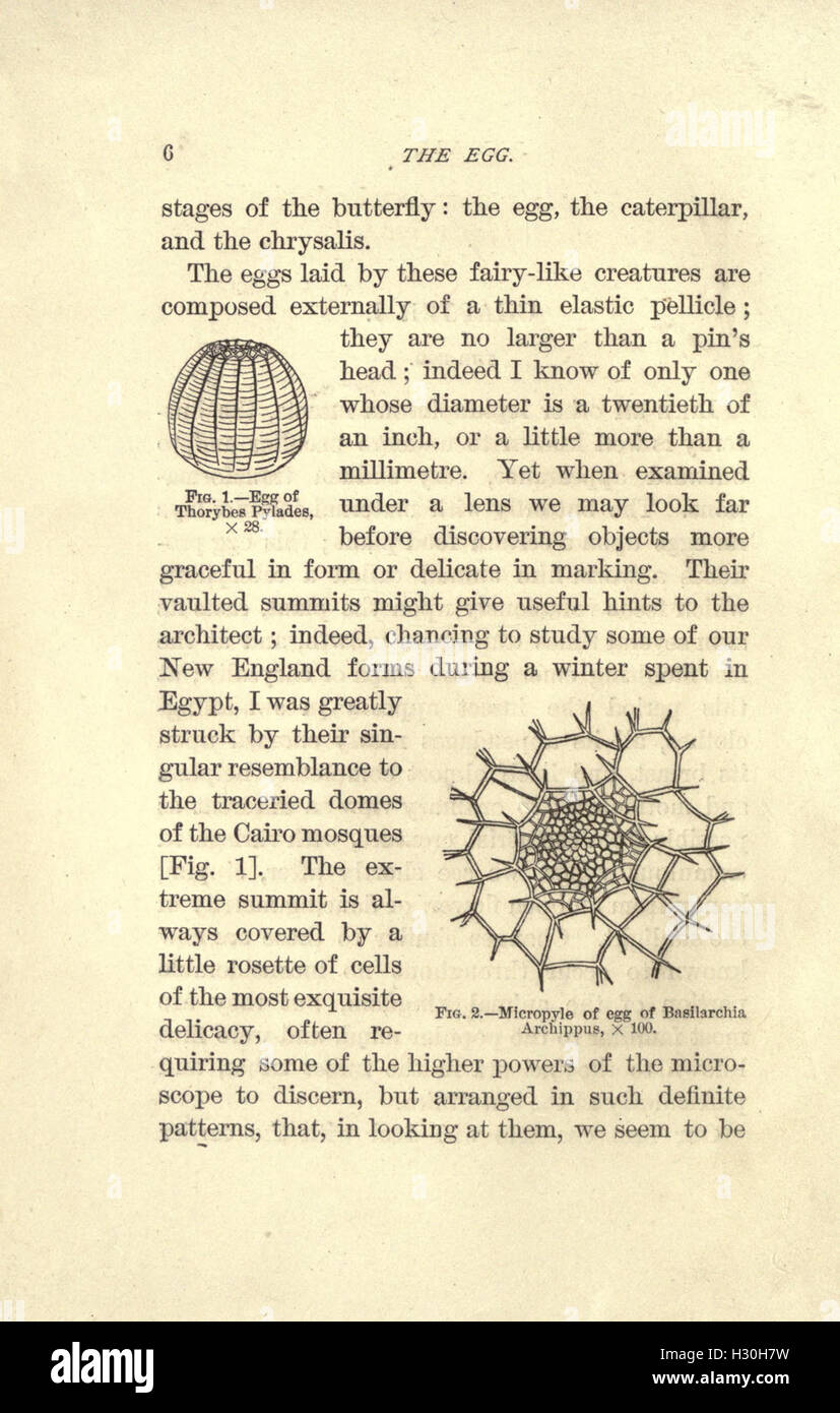 This page of the work 'Butterflies' provides detailed descriptions and ...