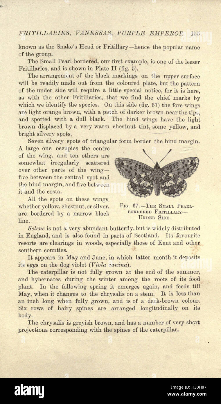A scientific guide to the butterflies and moths of Britain, including ...