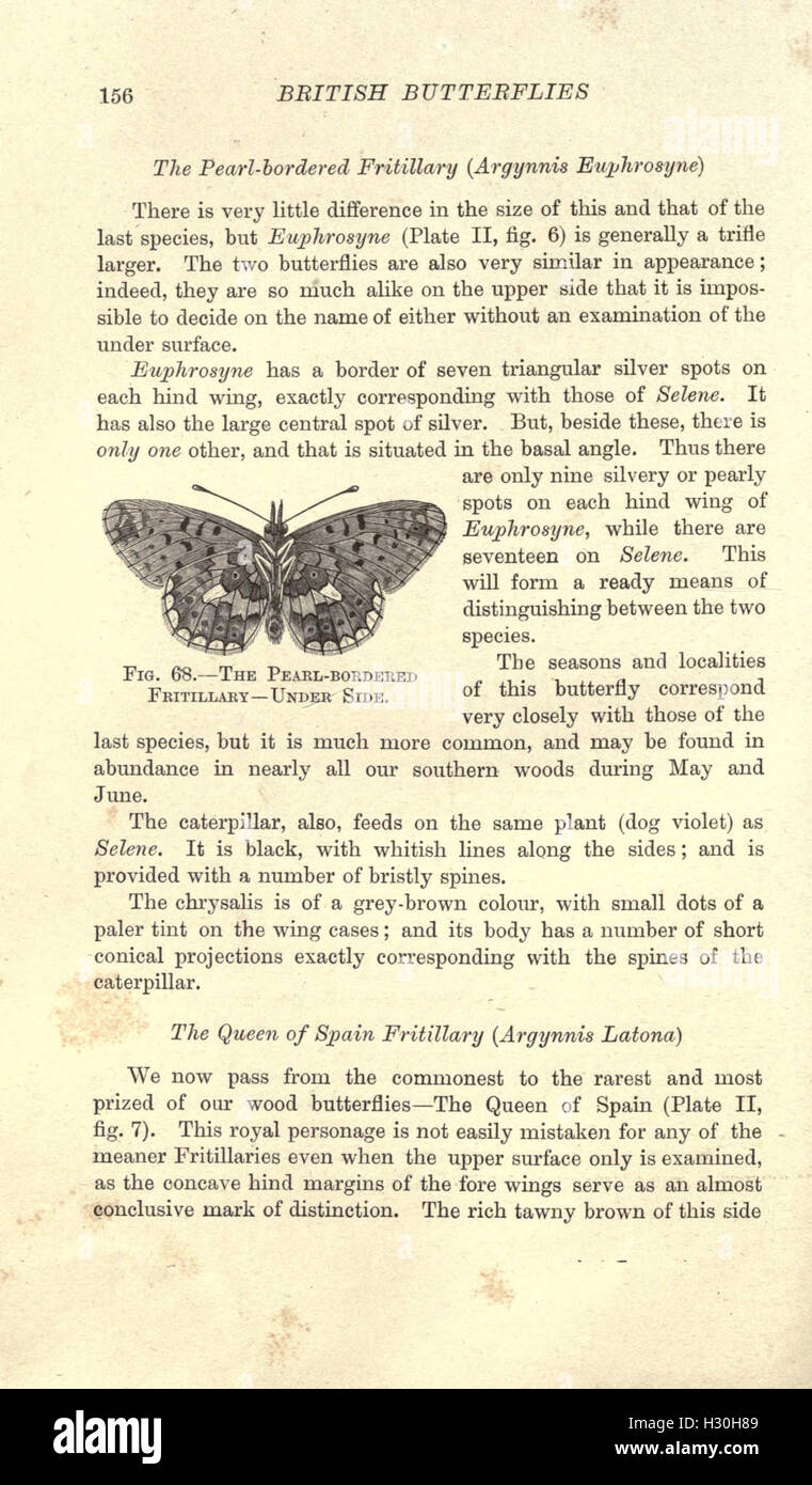 This work explores the British butterflies and moths, detailing their ...