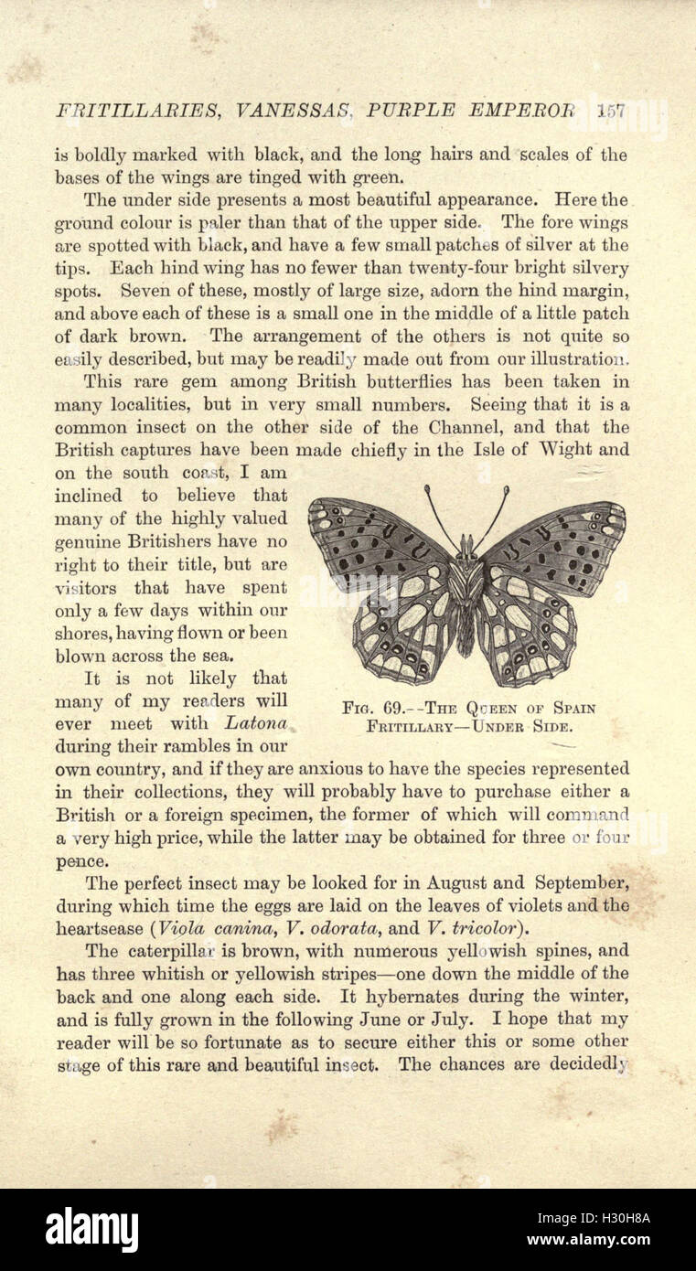 A detailed account of British butterflies and moths, featuring species ...