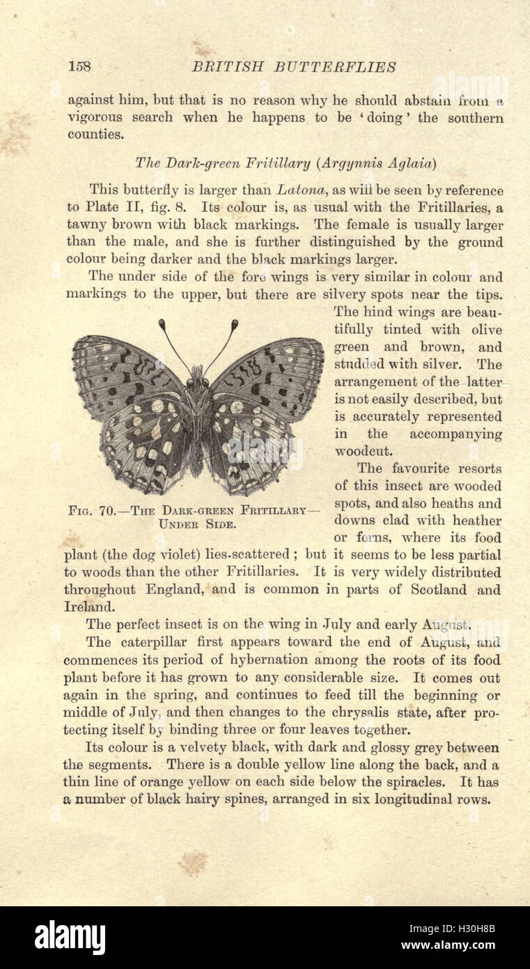 This section focuses on British butterflies and moths, providing ...
