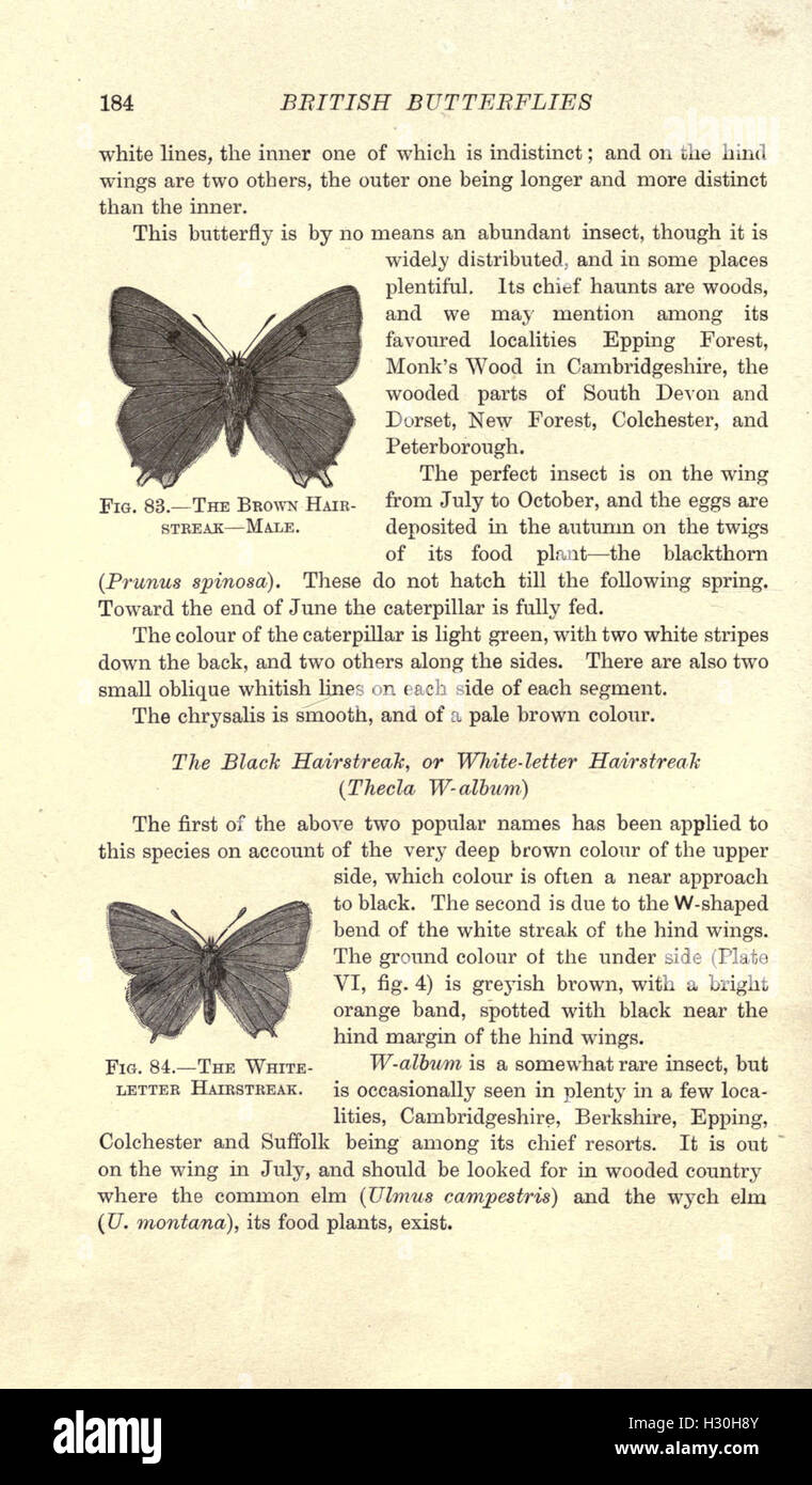 A detailed guide to the butterflies and moths of Britain, providing ...