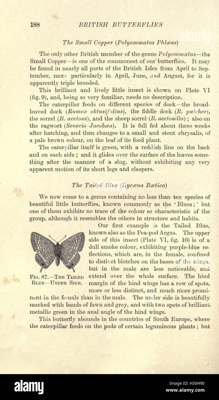 A guide to the butterflies and moths of Britain, providing detailed ...