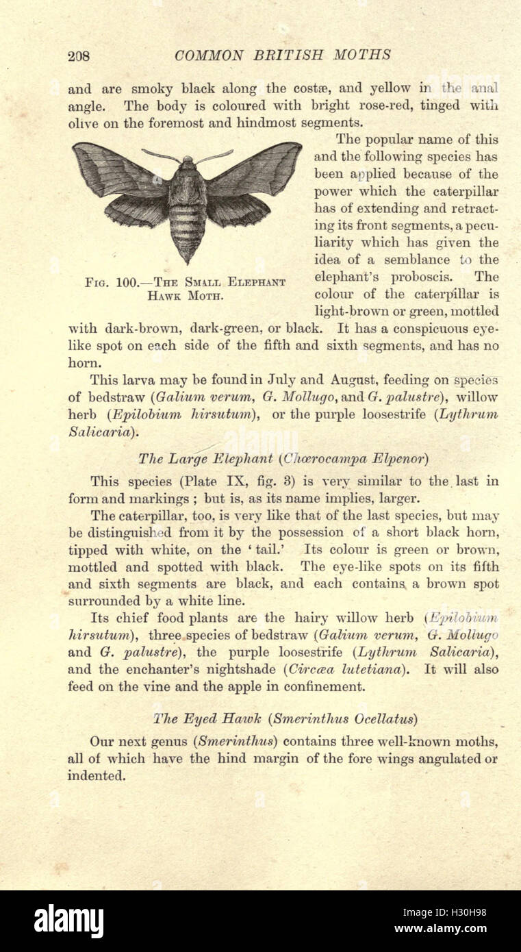 Detailed study on British butterflies and moths, covering their ...